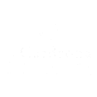 Production Software - Vinsight